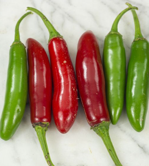 Hot pepper plants Organic | Firefly Fields NW